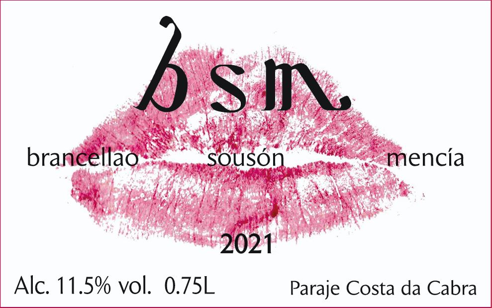 Bsm Vides Singulares Bsm Vides Singulares